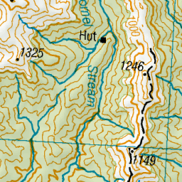 New Zealand Topographic Map - NZ Topo Map