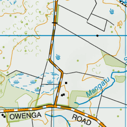 Mangatu Stream, Chatham Islands - NZ Topo Map