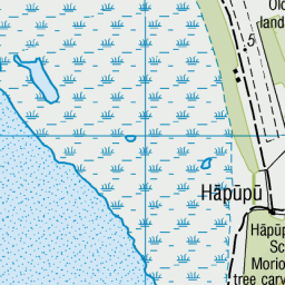 Hapupu, Chatham Islands - NZ Topo Map