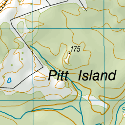 Pitt Island (Rangiauria), Chatham Islands - NZ Topo Map