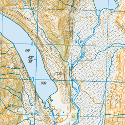 New Zealand Topographic Map - NZ Topo Map