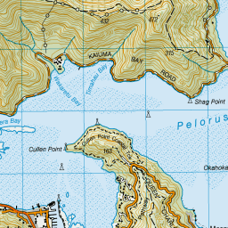 New Zealand Topographic Map - NZ Topo Map