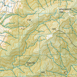 New Zealand Topographic Map - NZ Topo Map