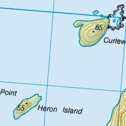 Curlew Island, Southland - NZ Topo Map