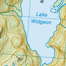 Lake Widgeon, Southland - NZ Topo Map