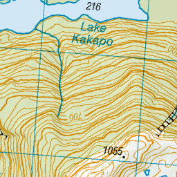 Lake Kakapo, Southland - NZ Topo Map