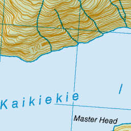 Master Head, Southland - NZ Topo Map