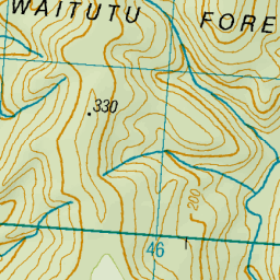 WAITUTU FOREST, Southland - NZ Topo Map