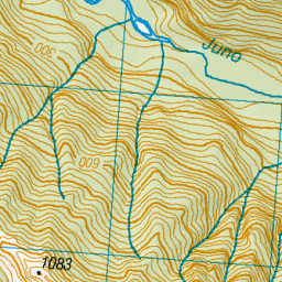 Juno River, Southland - NZ Topo Map