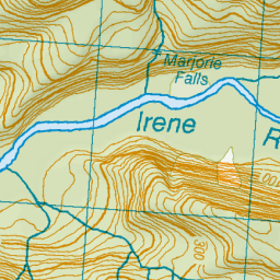Irene River, Southland - NZ Topo Map