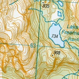 Lake Freeman, Southland - NZ Topo Map