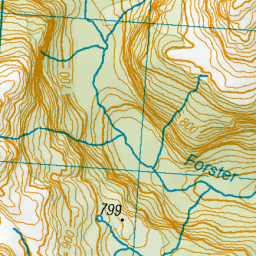 Forster Burn, Southland - NZ Topo Map