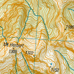 Mount Herbert, Southland - NZ Topo Map