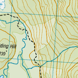 Pudding Hill, Southland - NZ Topo Map