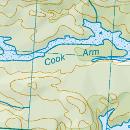 Cook Arm, Southland - NZ Topo Map