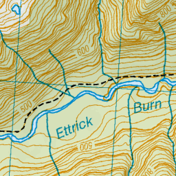 Ettrick Burn, Southland - NZ Topo Map
