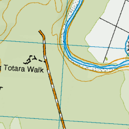 Big Totara Walking Track, Southland - NZ Topo Map