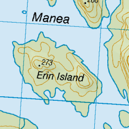 Erin Island, Southland - NZ Topo Map