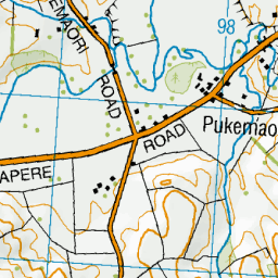 Pukemaori, Southland - NZ Topo Map
