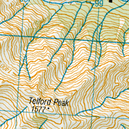 Telford Peak, Southland - NZ Topo Map