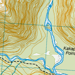 Kakapo Point, Southland - NZ Topo Map