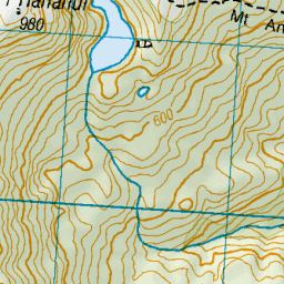 Mount Anglem/Hananui, Southland - NZ Topo Map