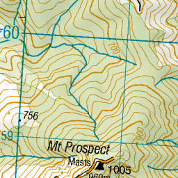 Mount Prospect, Southland - NZ Topo Map