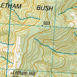 LETHAM BUSH, Southland - NZ Topo Map