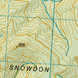 SNOWDON FOREST, Southland - NZ Topo Map