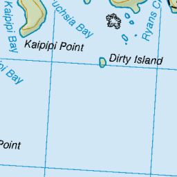 Dirty Island, Southland - NZ Topo Map