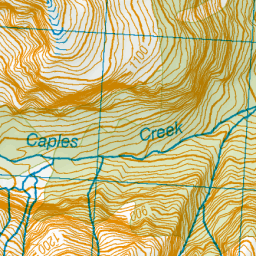 Caples Creek, Southland - NZ Topo Map