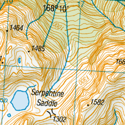 Serpentine Saddle, Southland - NZ Topo Map