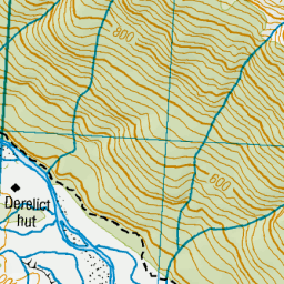 Caples River, Otago - NZ Topo Map