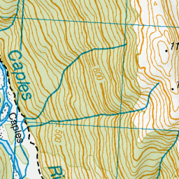 Caples Track, Otago - NZ Topo Map