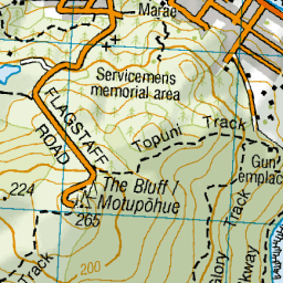 Topuni Track, Southland - NZ Topo Map