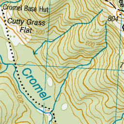 Cutty Grass Flat, Southland - NZ Topo Map