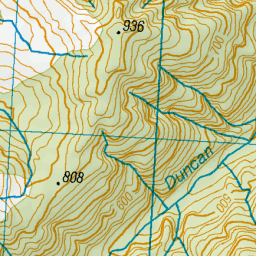 Duncan River, West Coast - NZ Topo Map