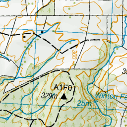 Winton Falls, Southland - NZ Topo Map