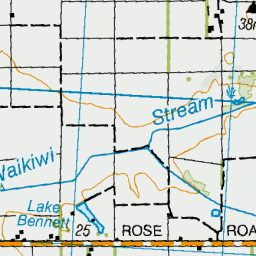Lake Bennett, Southland - NZ Topo Map