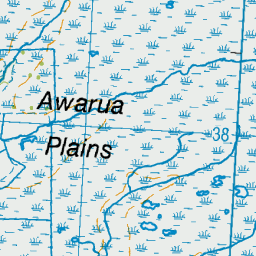 Awarua Plains, Southland - NZ Topo Map