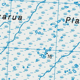 Awarua Plains, Southland - NZ Topo Map