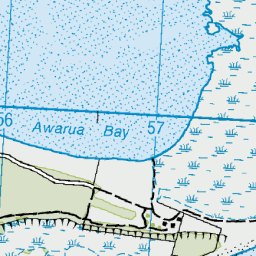 Awarua Bay, Southland - NZ Topo Map