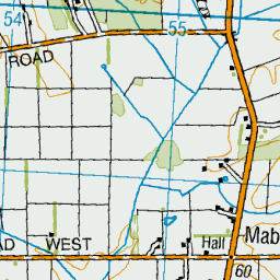 Mabel Bush, Southland - NZ Topo Map