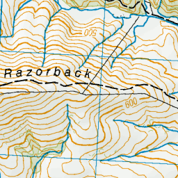 Razorback Southland Nz Topo Map