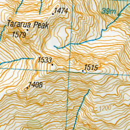 Tararua Peak, West Coast - NZ Topo Map