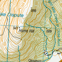Home Hill, Otago - NZ Topo Map