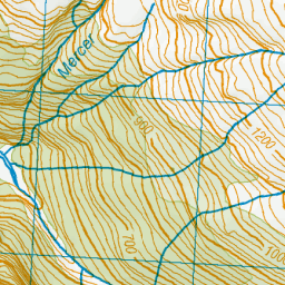 Mercer Stream, West Coast - NZ Topo Map