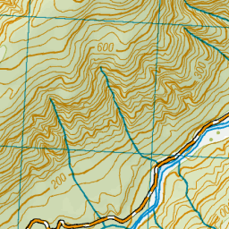 Jackson River, West Coast - NZ Topo Map