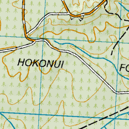 HOKONUI FOREST, Southland - NZ Topo Map