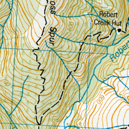 Ross Spur, Southland - NZ Topo Map